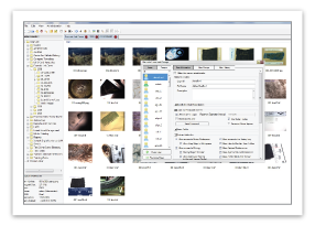 Caseworks DEMS - Mideo